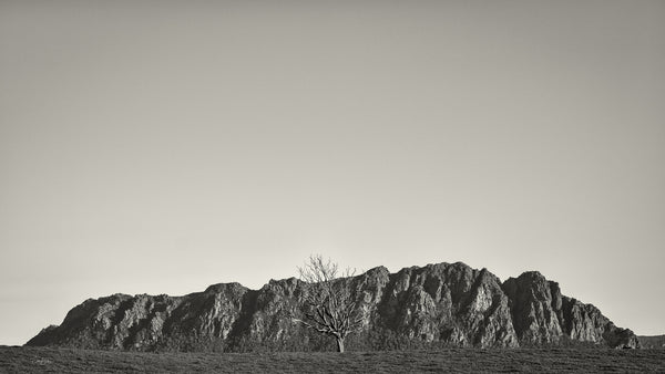 Roland Fields - Cam Blake Photography